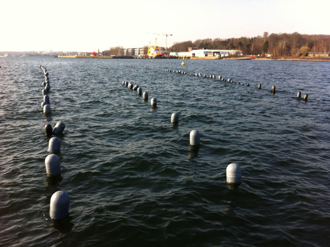 MUSSEL FARMING | Baltic MUPPETS